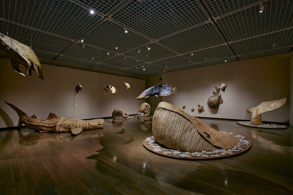 Tamada Taki – Official Website